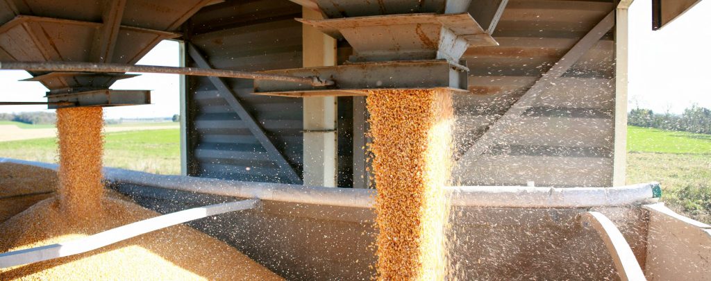 Protecting Against Grain Engulfment | SafetyNow ILT