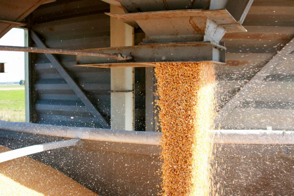 Protecting Against Grain Engulfment | SafetyNow ILT