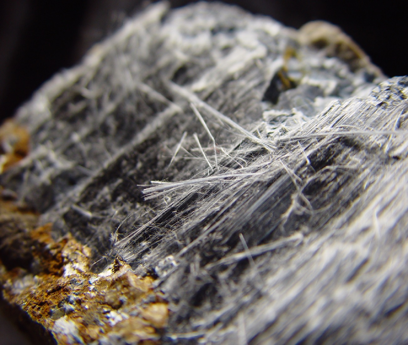 Know the Risks of Asbestos Exposure | SafetyNow ILT